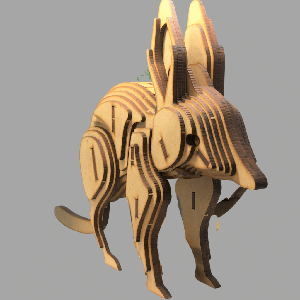 3D DIY MDF Wooden Model Kits- Skill Easy to Hard